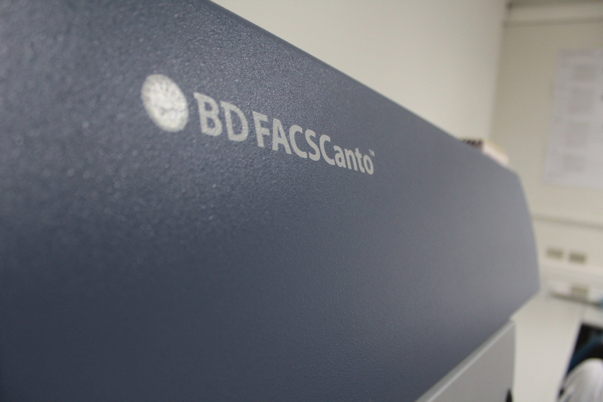 Equipos-redeca | REDECA