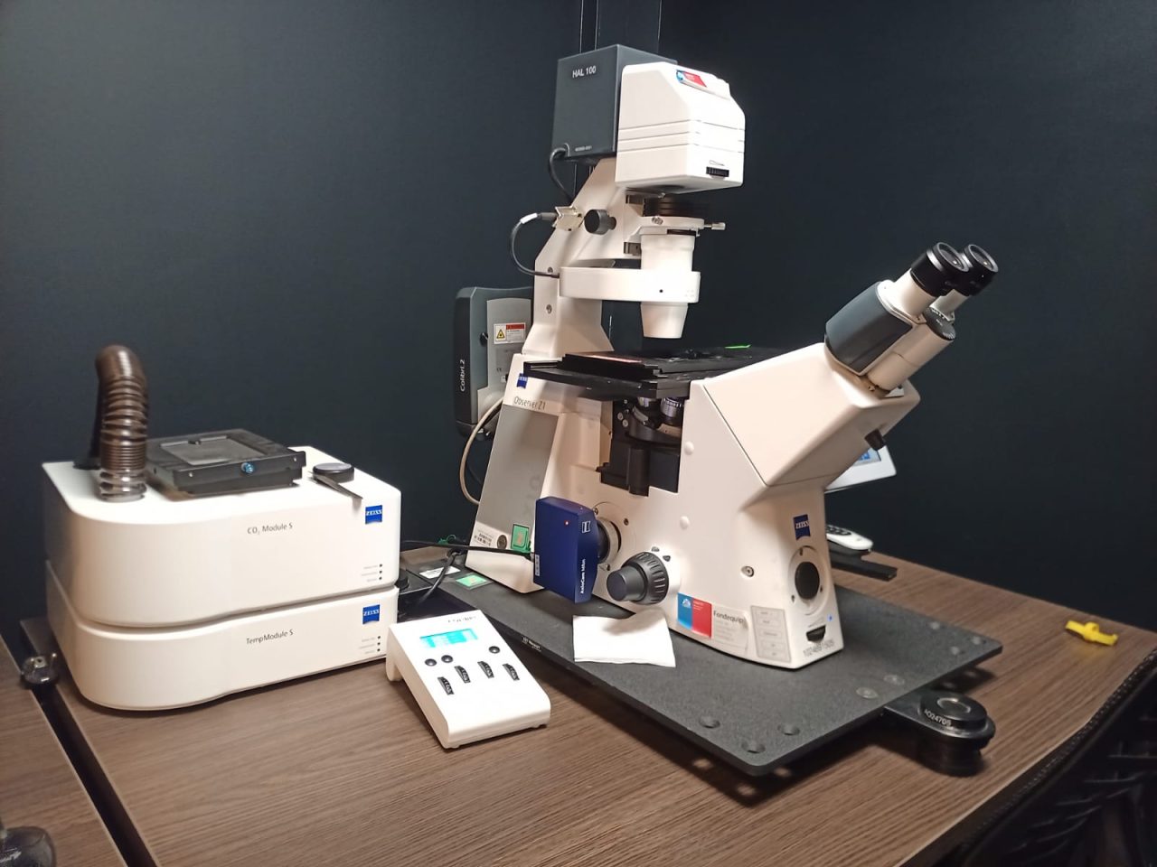 Cell Observer 2 | REDECA